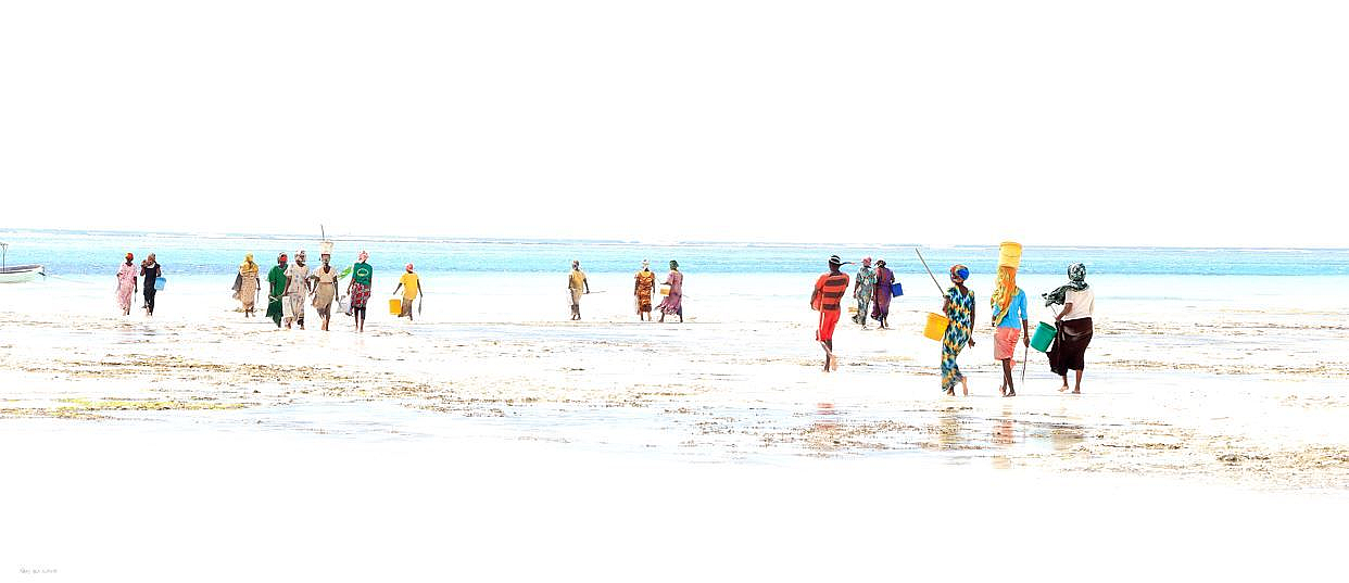 זנזיבר | רוני בן שמחון | האומנים שלנו | גלריית תמונות הדני | Hadani ...