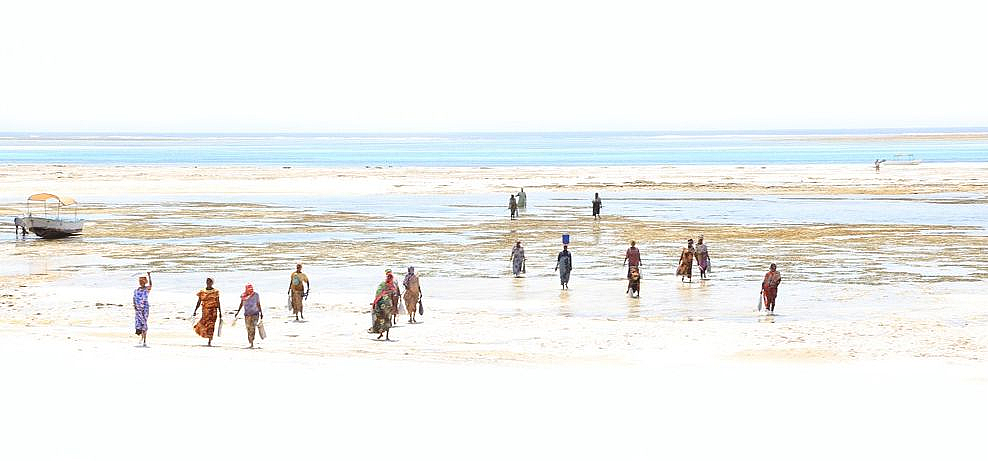 אל הים | רוני בן שמחון | האומנים שלנו | גלריית תמונות הדני | Hadani ...