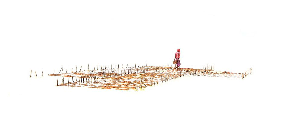 אשה באדום | רוני בן שמחון | האומנים שלנו | גלריית תמונות הדני | Hadani ...